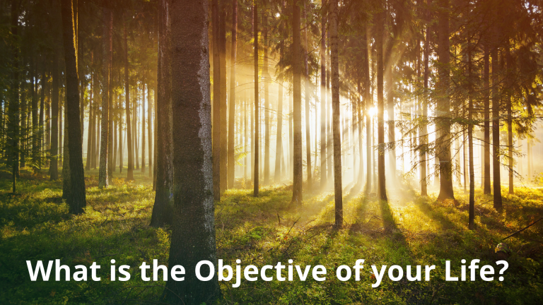 What is the Objective of your Life? - Preachers Corner