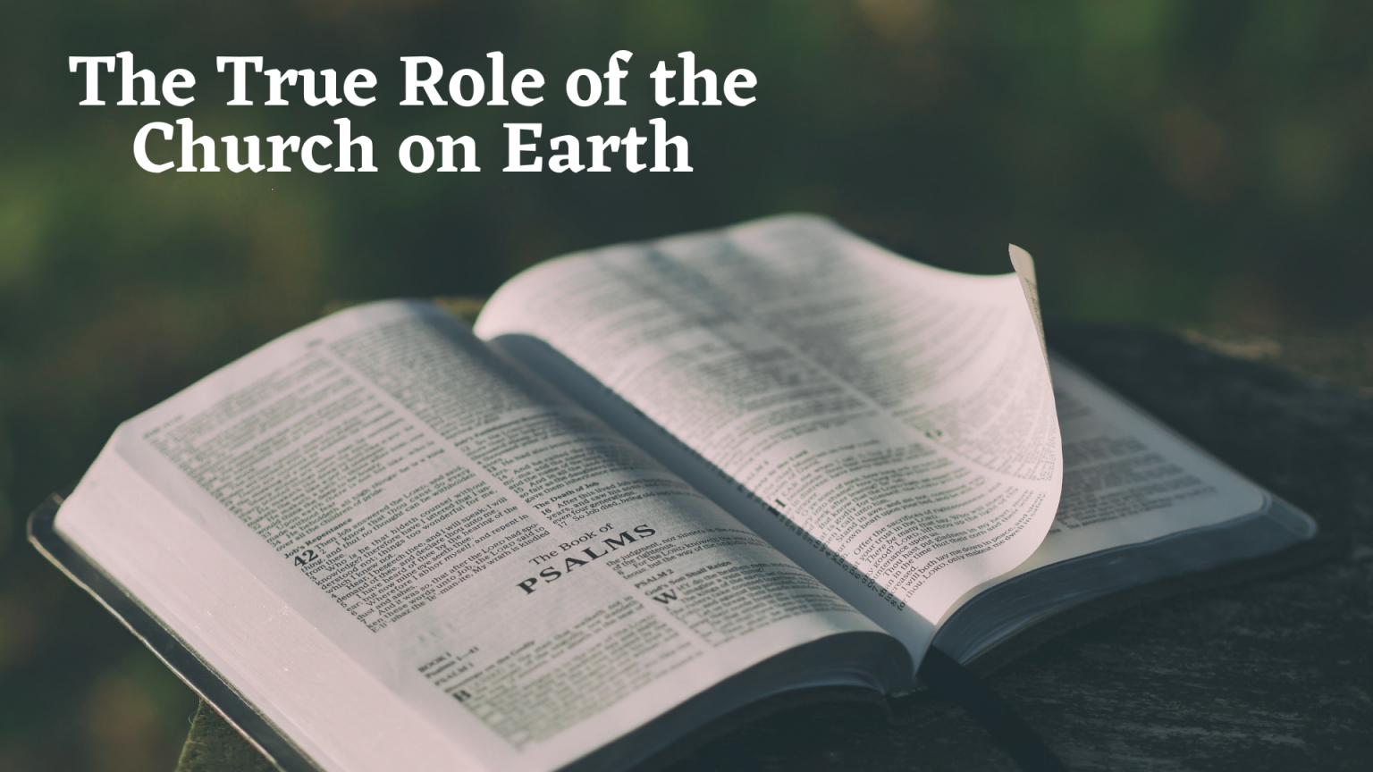 The true role of the Church on Earth - Preachers Corner