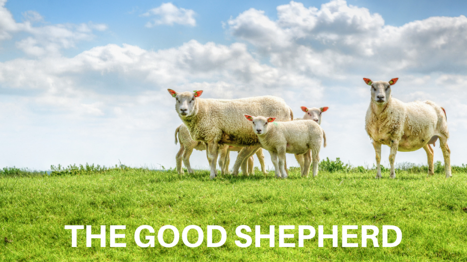 Psalm 23 Archives - Preachers Corner