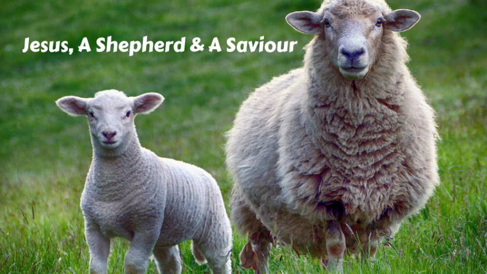 Graham Boyes Archives - Preachers Corner