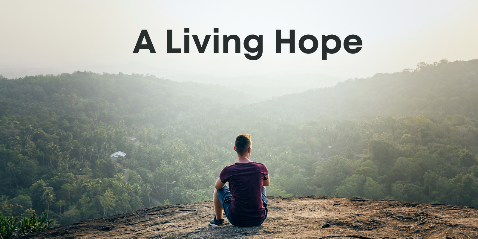 A Living Hope - Preachers Corner