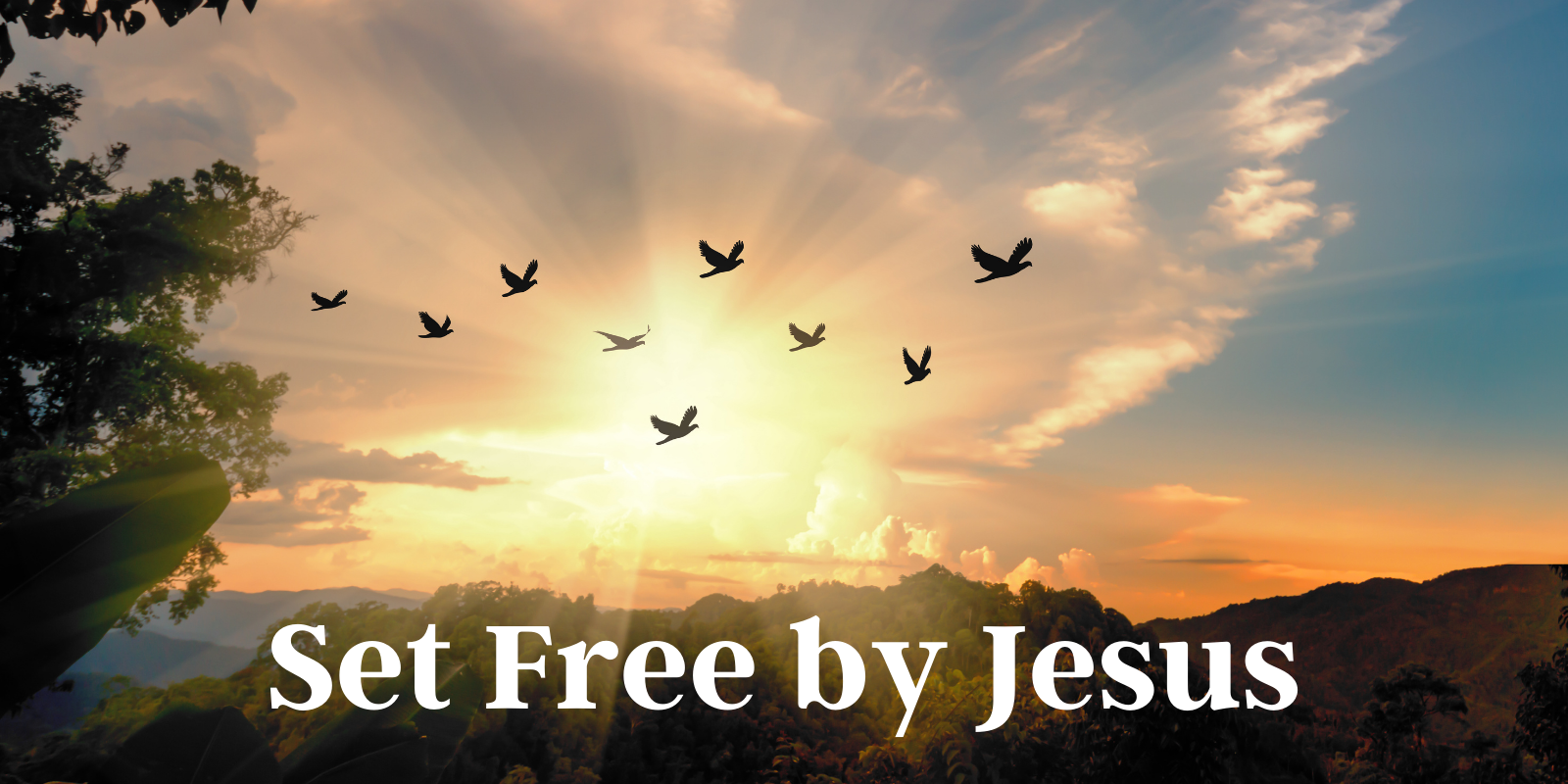 Jesus Set Free