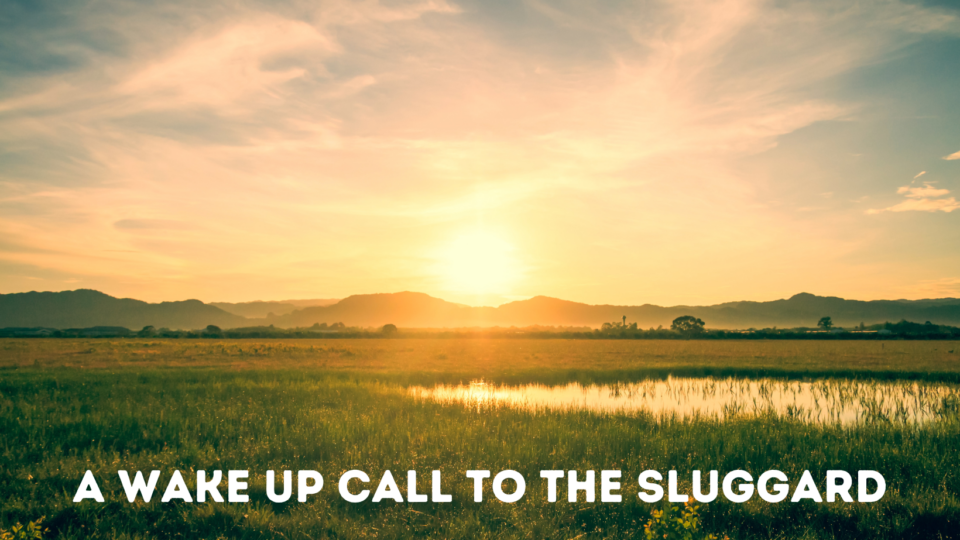 A Wake Up Call To The Sluggard - Preachers Corner