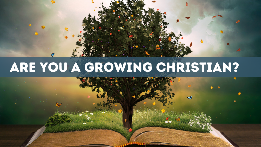 Are You A Growing Christian? - Preachers Corner