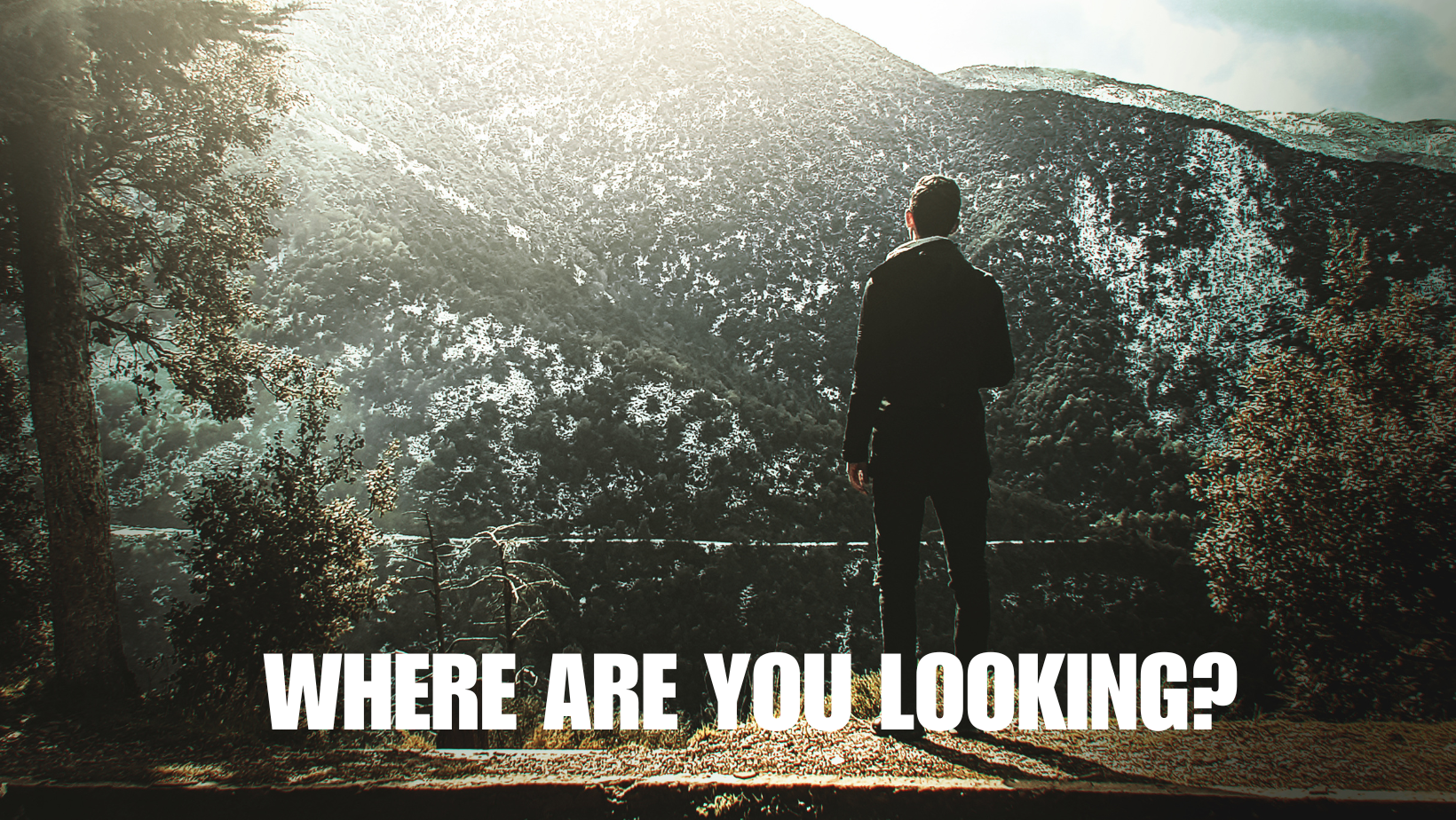Where are you looking for peace? - Preachers Corner