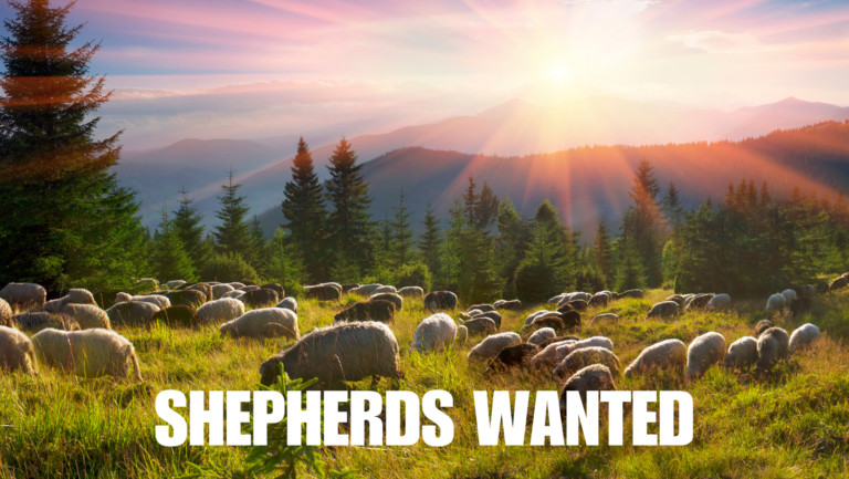 Shepherds Wanted - Preachers Corner