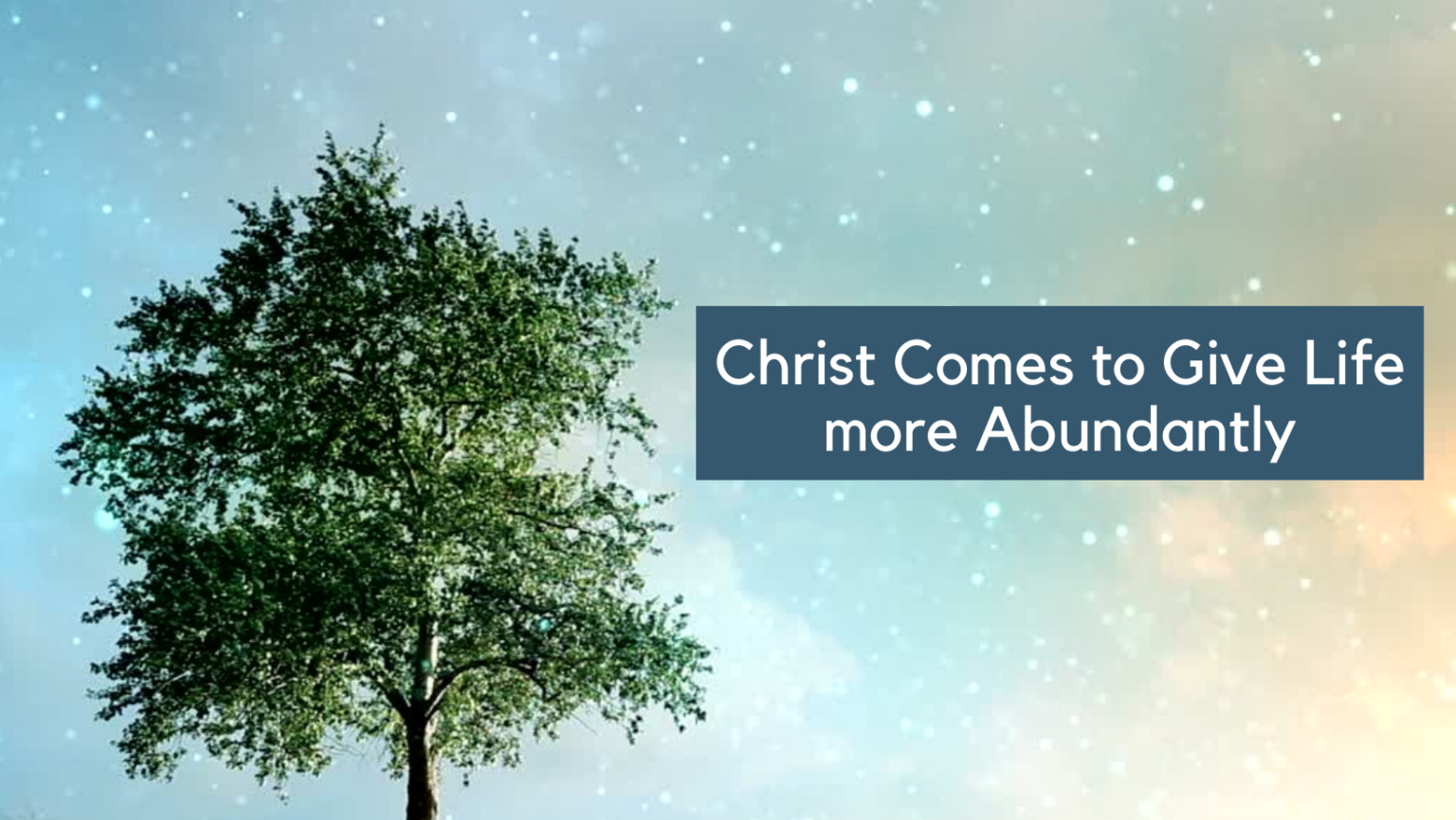 Christ Comes to Give Life more Abundantly - Preachers Corner