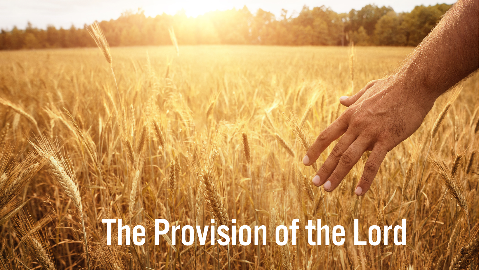 The Provision of the Lord - Preachers Corner