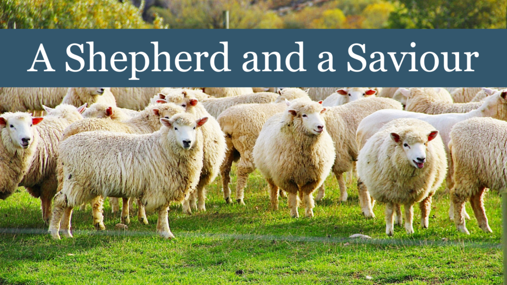 A Shepherd and a Saviour - Preachers Corner