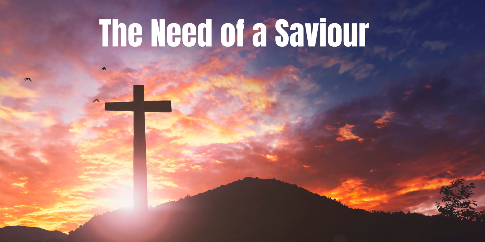 The Need of a Saviour - Preachers Corner