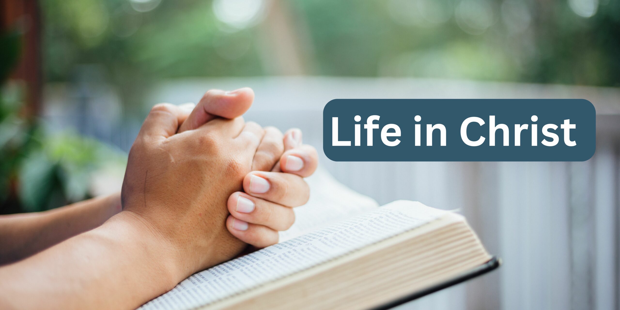 Life in Christ - Preachers Corner