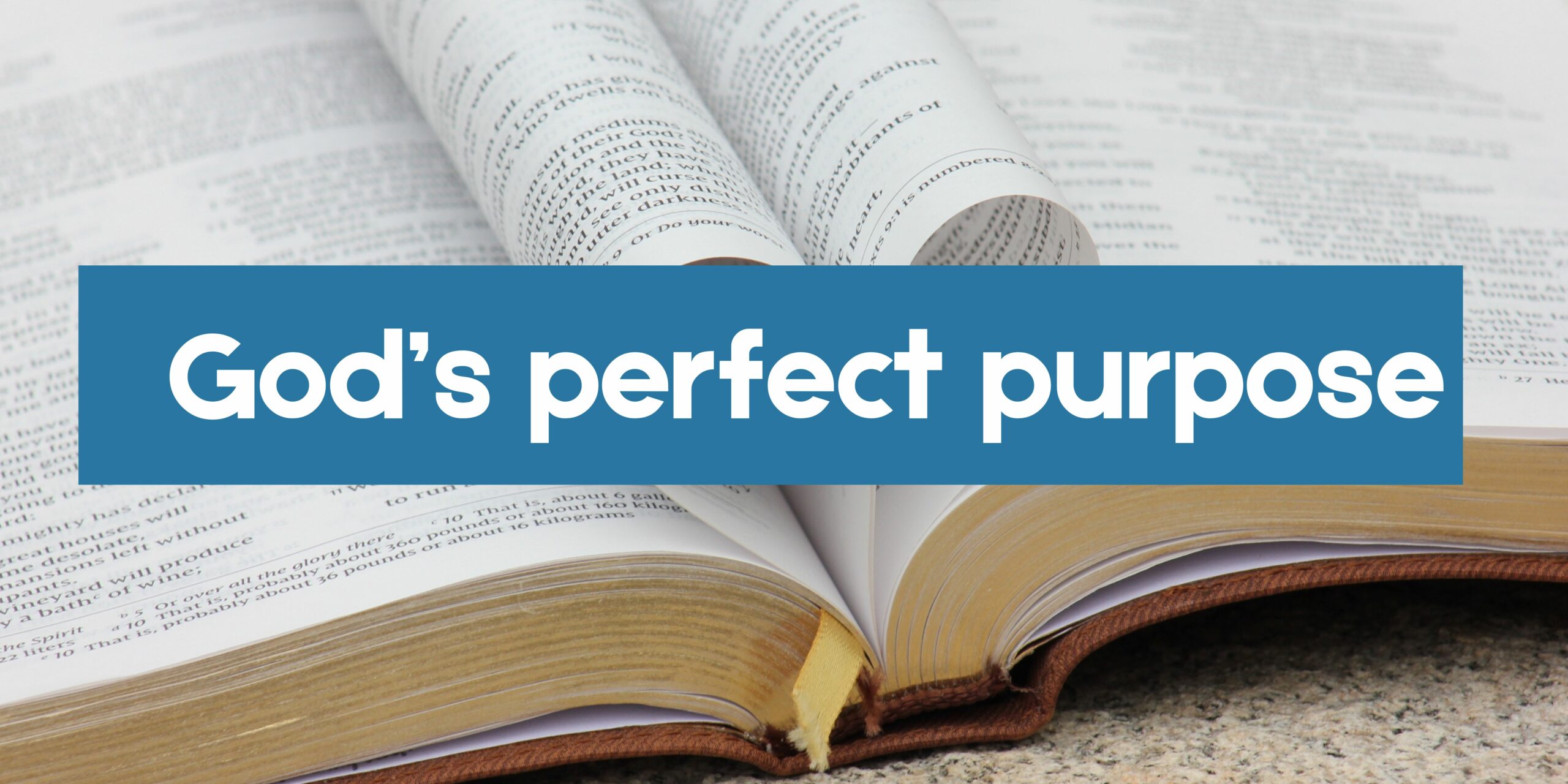 God’s perfect purpose - Preachers Corner
